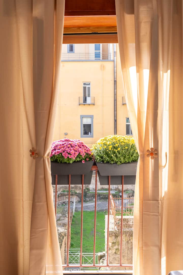 Vista Sugli Scavi - Casa Nel Centro Di Napoli - Nápoles
