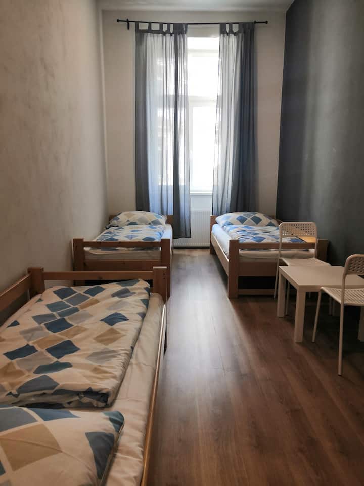 Central Studio Apartment - Prága