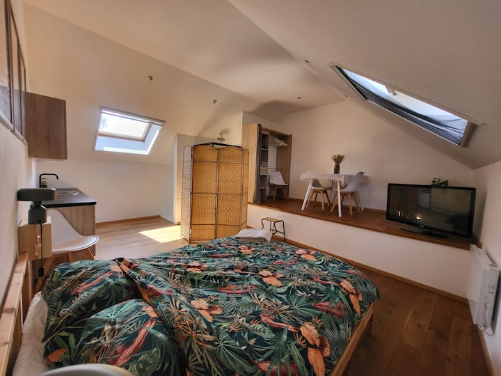 Studio Cosy Et Lumineux - Verlaine