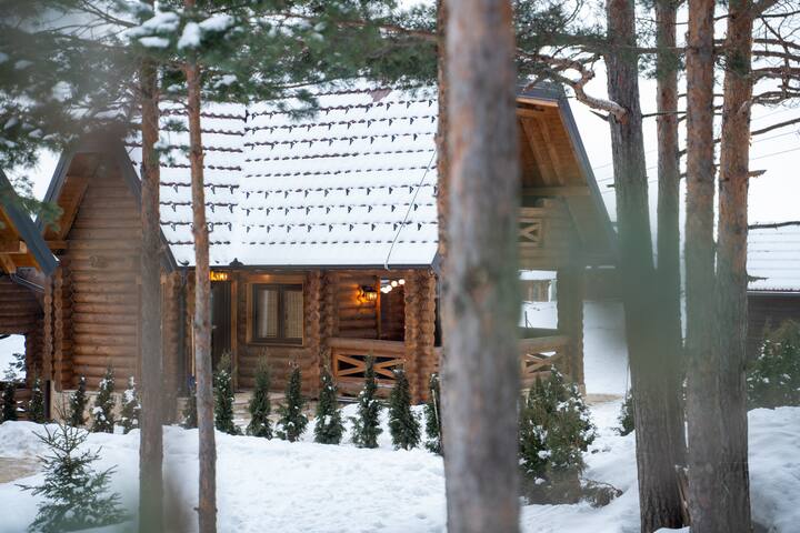 Aurum Cabins - Gold - Zlatibor