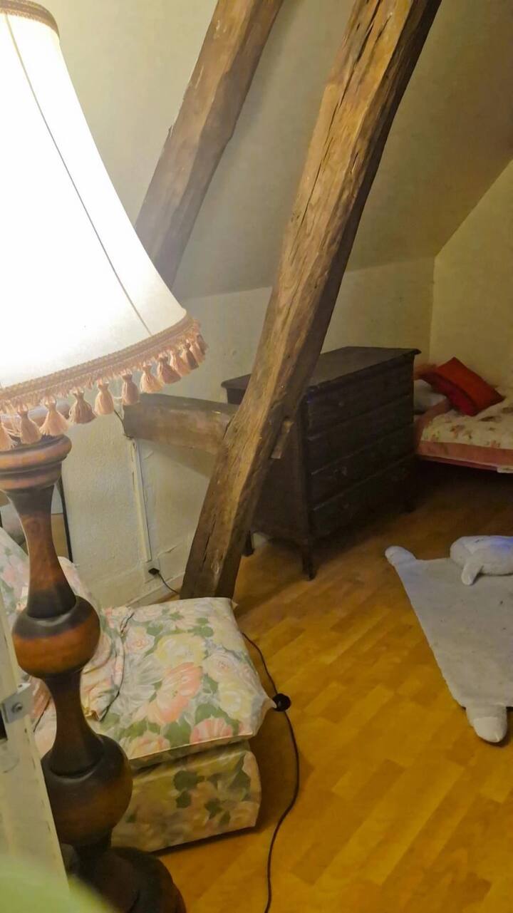 Bel Appartement De Charme - Arboretum des Grandes Bruyères