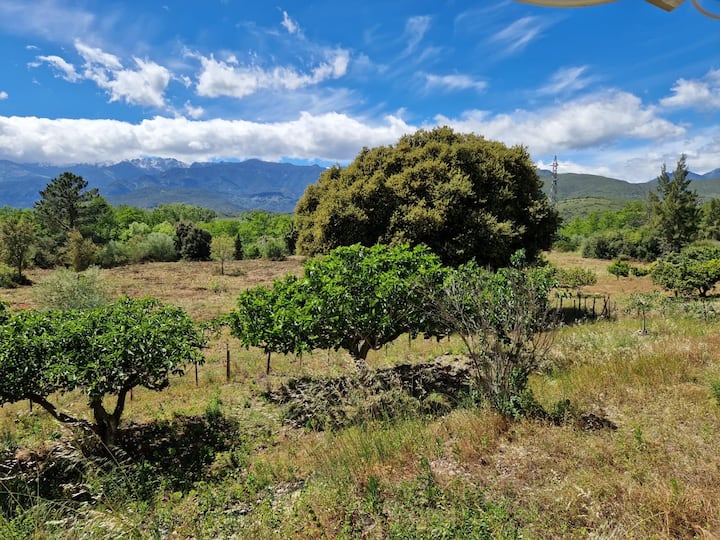 Villa Entre Mer Et Montagnes - Ghisonaccia