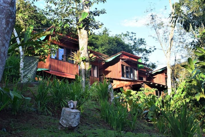 Eco Bamboo Cabin #1 Turrialba - Turrialba