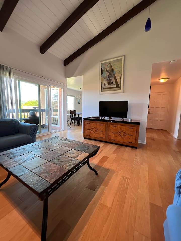 2/2 Modern Home W/ Amazing Views - Poway, CA