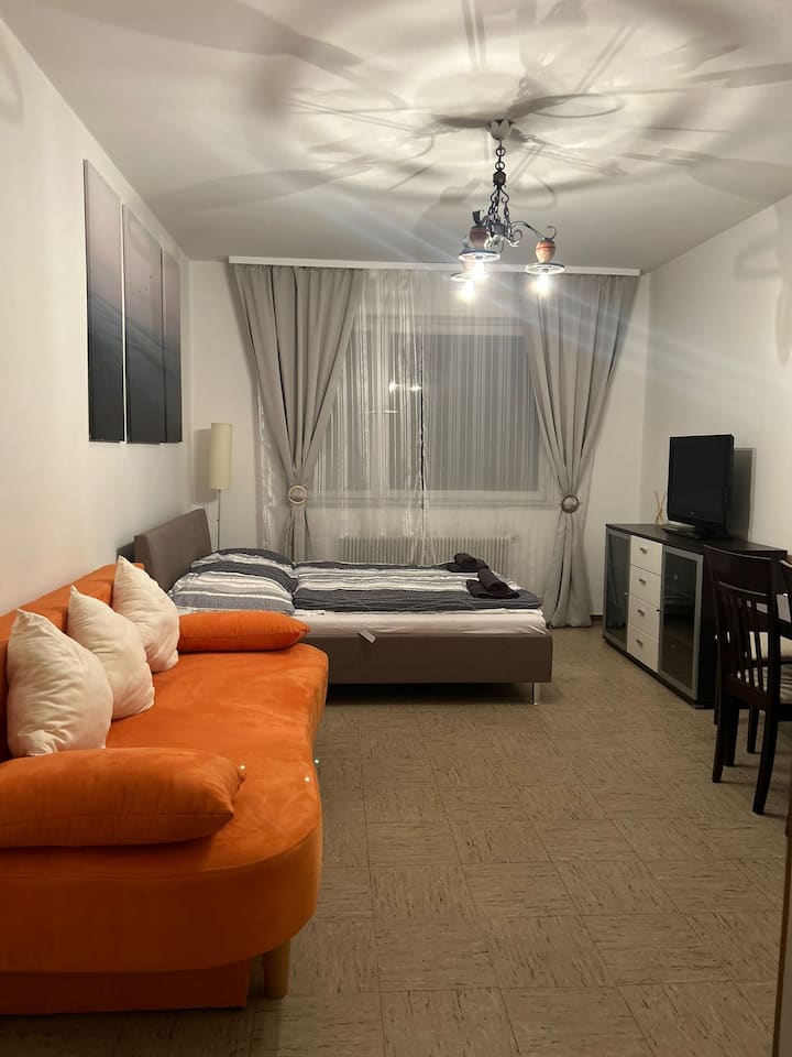 Komfortables Apartment Graz - Graz