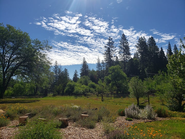 Peardale Pines, Chalet - Rollins Lake, Grass Valley