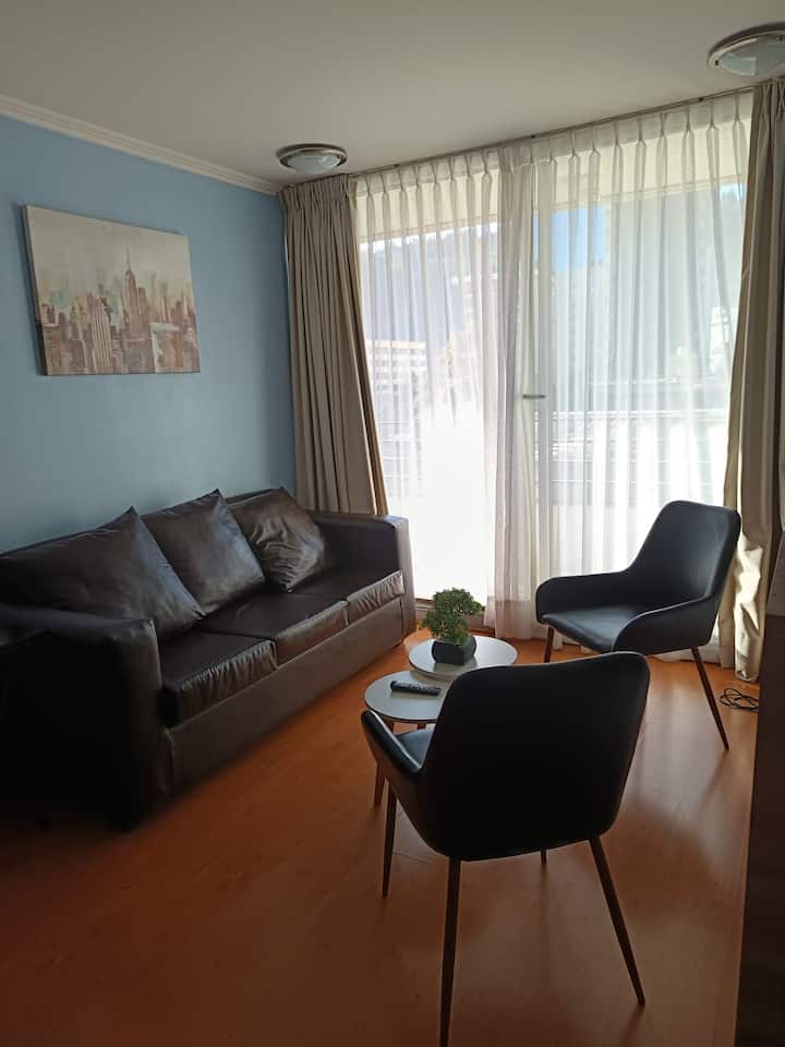 Departamento Metro Manuel Montt - Providencia