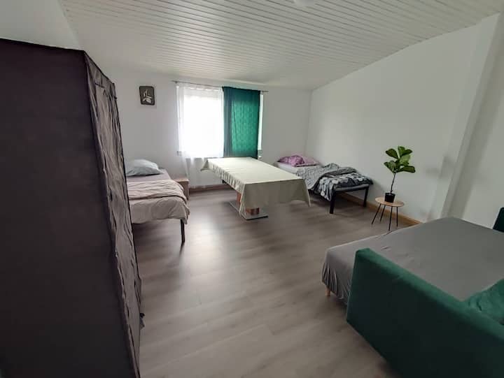Big, Cozy And Central Apartment - Wiesbaden
