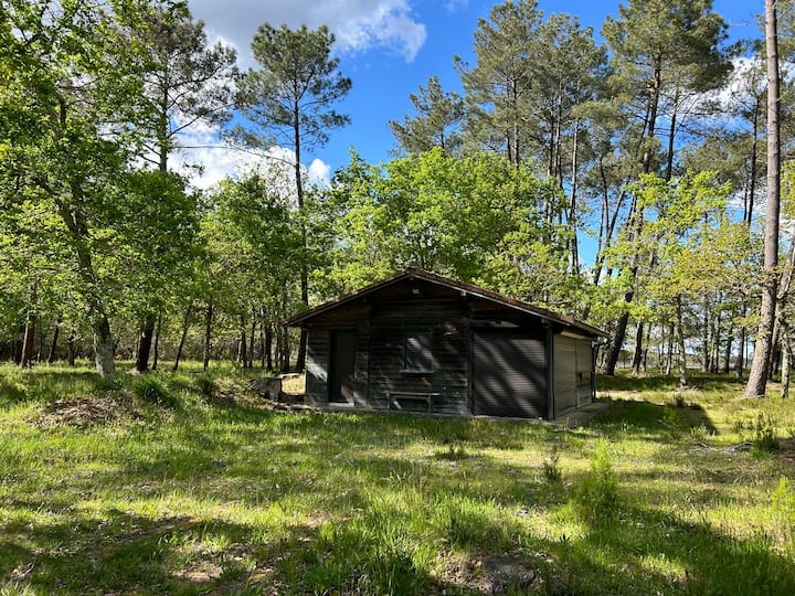 Chalet - Cœur De Forêt Landaise - Biscarrosse