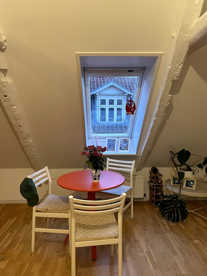 Sød, Autentisk Lejlighed I Hjertet Af ÅRhus - Aarhus