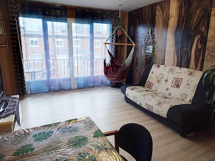 Chambre Dans Un Charmant Appartement - Arras