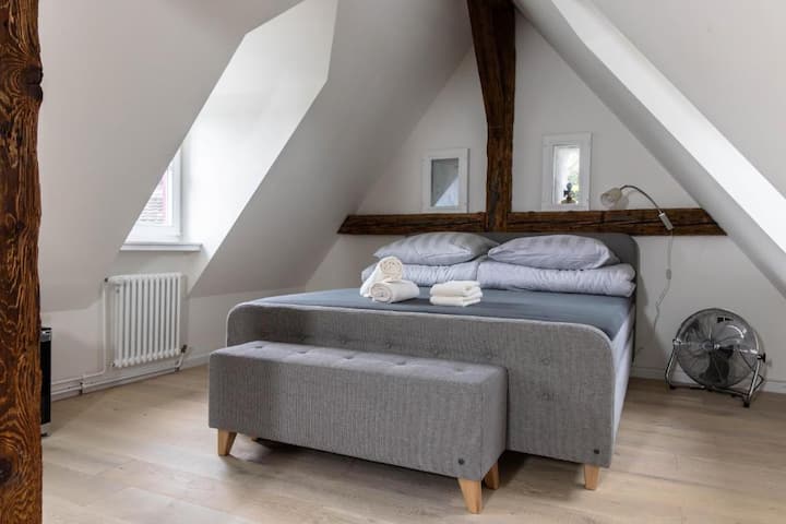 Charming Attic Room In Historic House By The River - Basilea