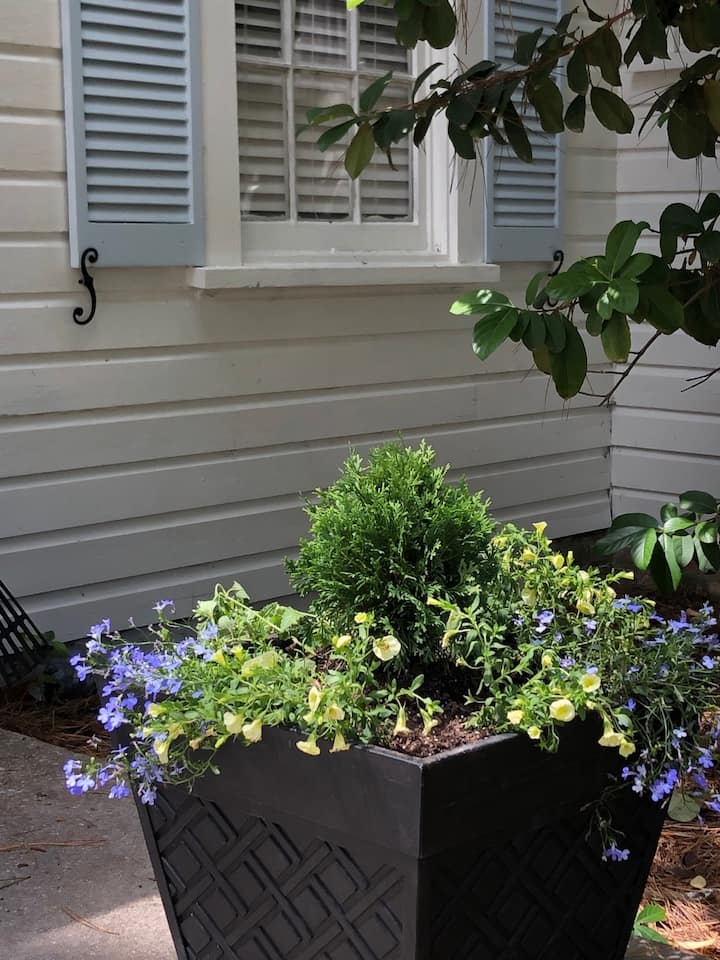 Boho Bungalow Near Hospital - Thomasville, GA