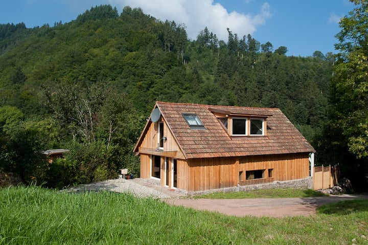 Chalet / Ferienhaus Mit Pool - Freiburg im Breisgau
