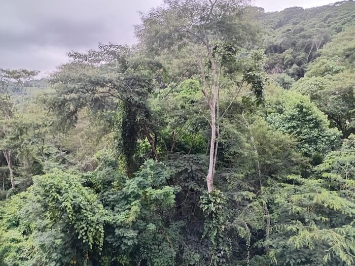 Casa Familiar Das Montanhas - Domingos Martins