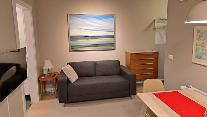 Central & Cozy - Reykjavik