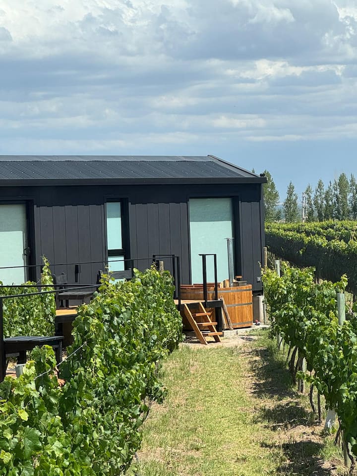 Sueña Con Viñedos, Despierta En Un Paraíso De Uvas - アルゼンチン