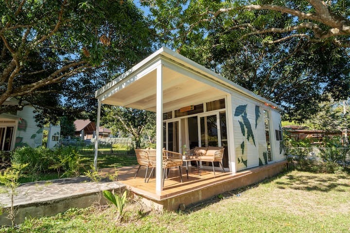 Alocasia Cabin - Rosales