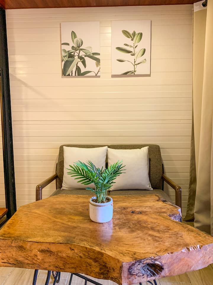 Syngonium Cabin - Rosales