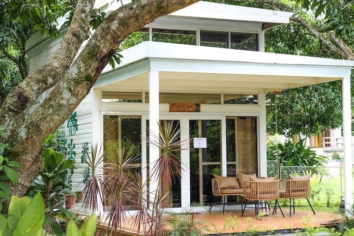 Monstera Cabin - Rosales