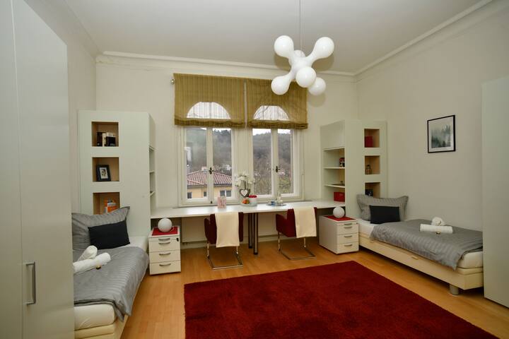 Charmantes Königszimmer In Zentralem Schlößchen - Bad Kissingen