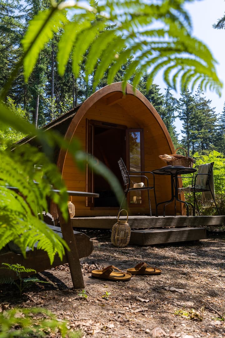 Compact En Luxe In Een Pod - Arnhem