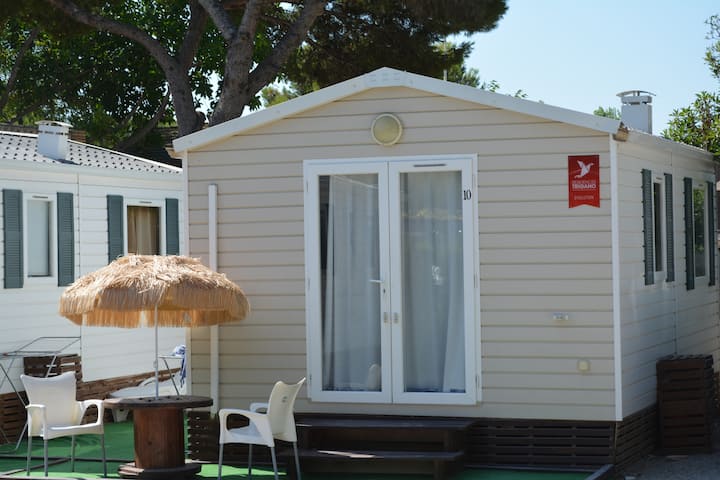 Bungalow Dhara - El Palmar