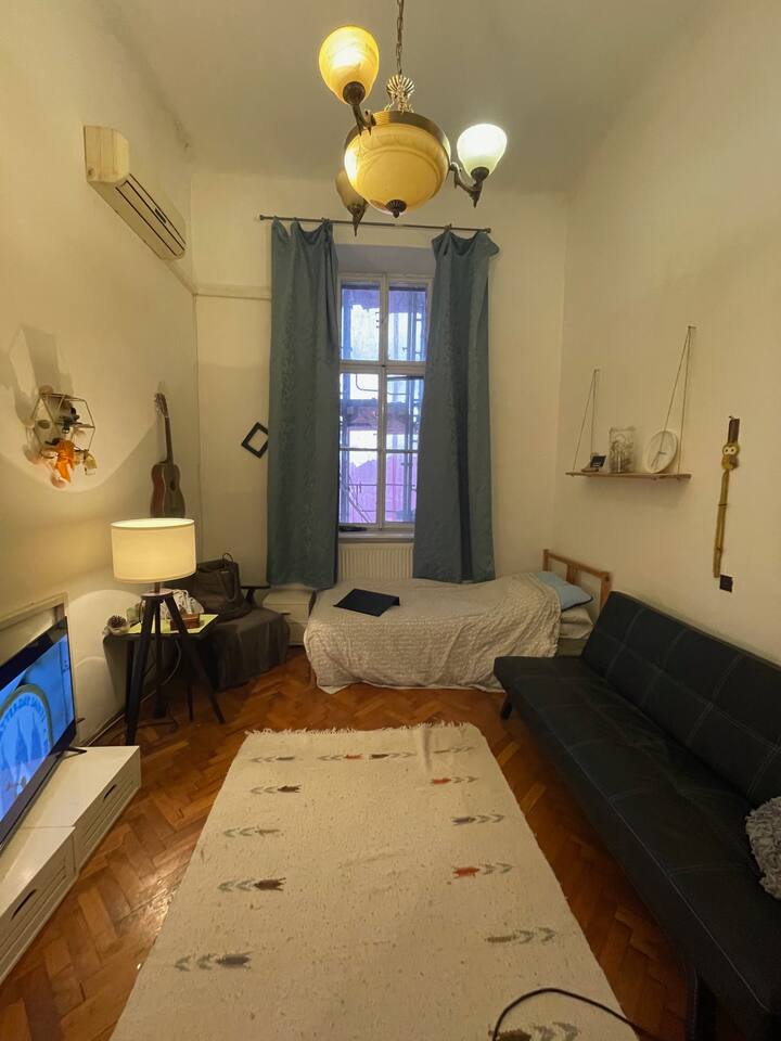 Classic 1900s Room For Rent - Zagreb