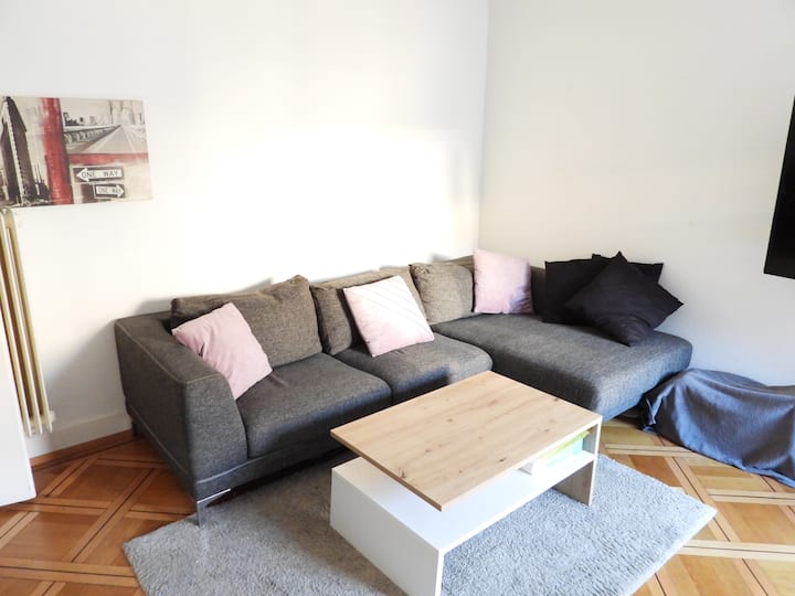 Cosy Appartement à Montchoisi - Lausanne
