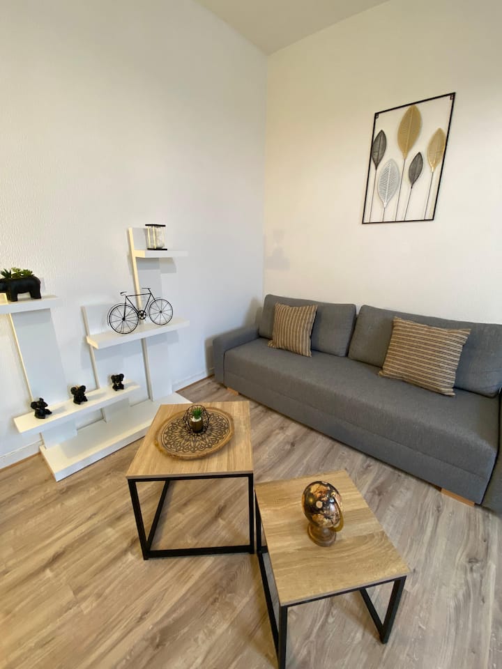 Charmant T2 - 4pers - Centre Ville - Angers
