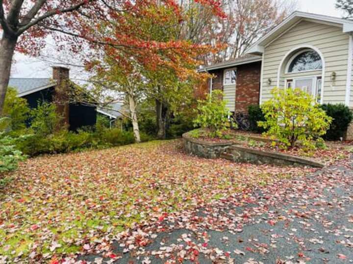 Rio's House - Halifax, Canada