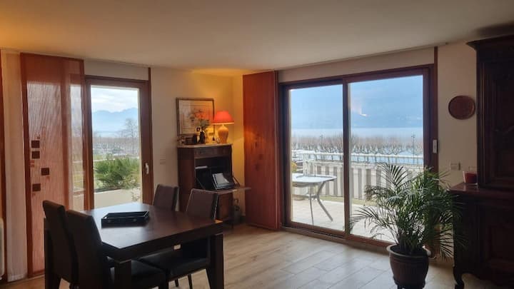 T3 - Vue Imprenable Sur Le Lac - Aix-les-Bains