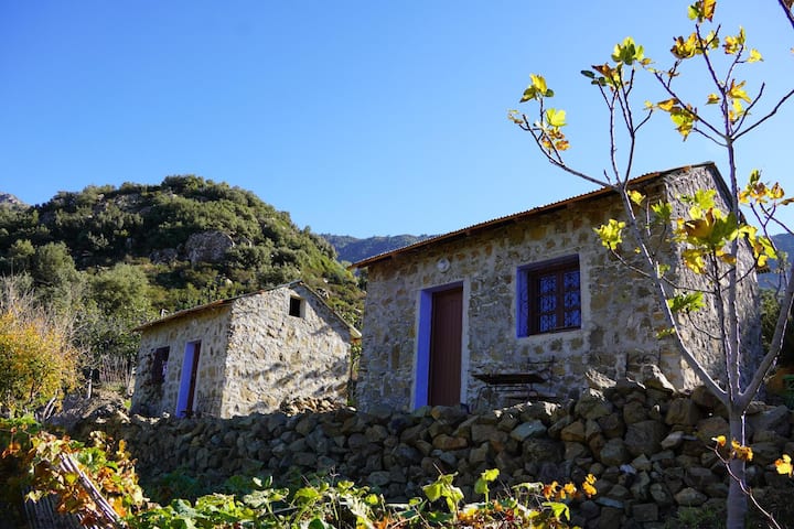 Authentic Homestay With Ayman - Chefchaouen