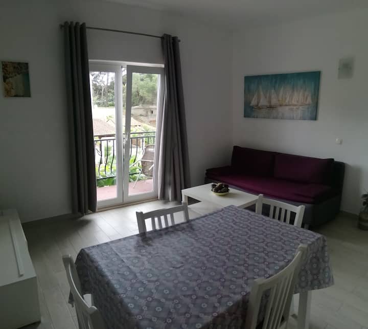 Apartment Branka Saplunara - Mljet