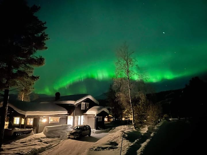 Romslig Familiehytte - Norvège