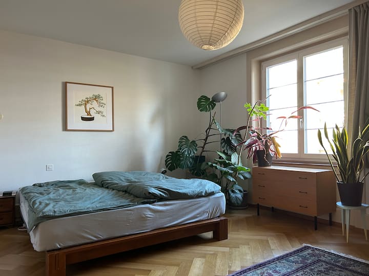 3.5-zimmerwohnung Zentral Bern - Bern