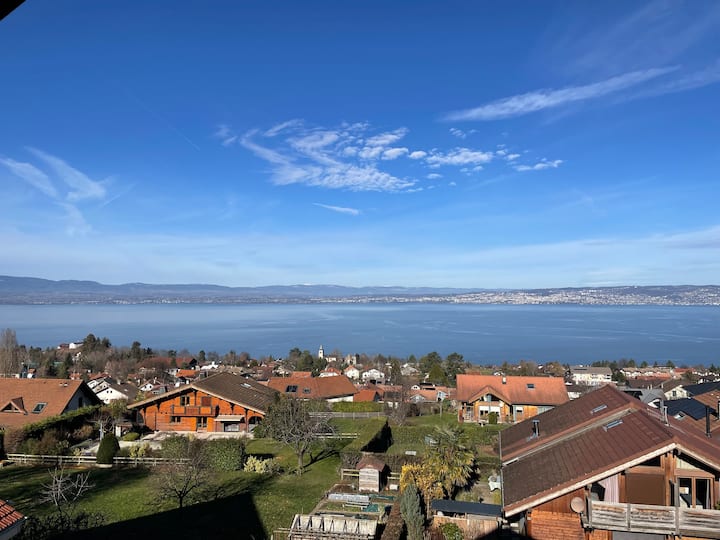 Maison Entre Lac Et Montagne - Évian-les-Bains