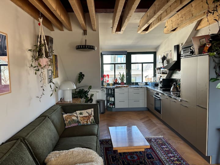 Dachgeschosswohnung Mit Terasse - Leipzig