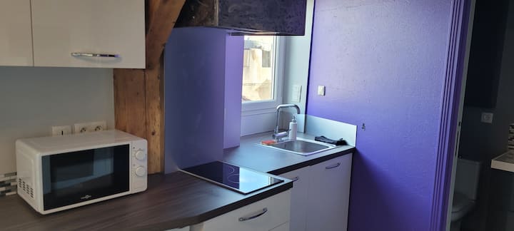 Studio Calme En Centre Ville - Clermont-Ferrand