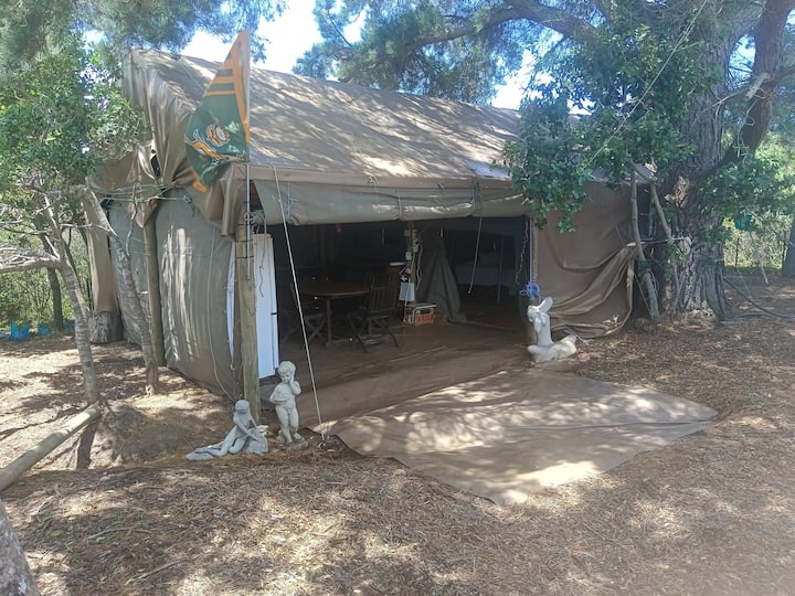 Roes In Vrede (Rust In Peace) - Wilderness