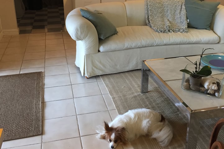 Private Yet Close To Everything! - Middleton, WI