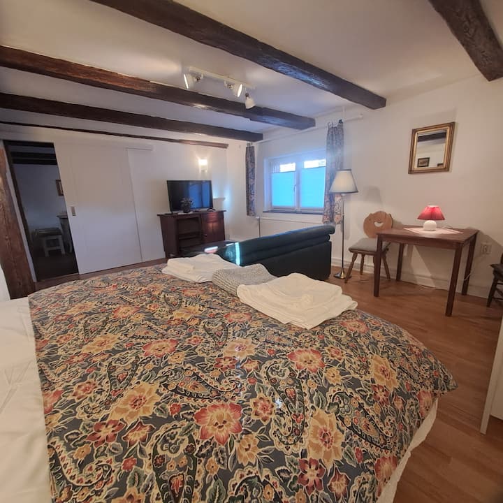 Citynah In Chemnitz Fw Bern 2 - Chemnitz