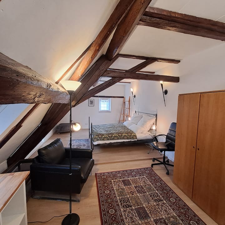 Fw Bern 4 Nah Am Zentrum - Chemnitz