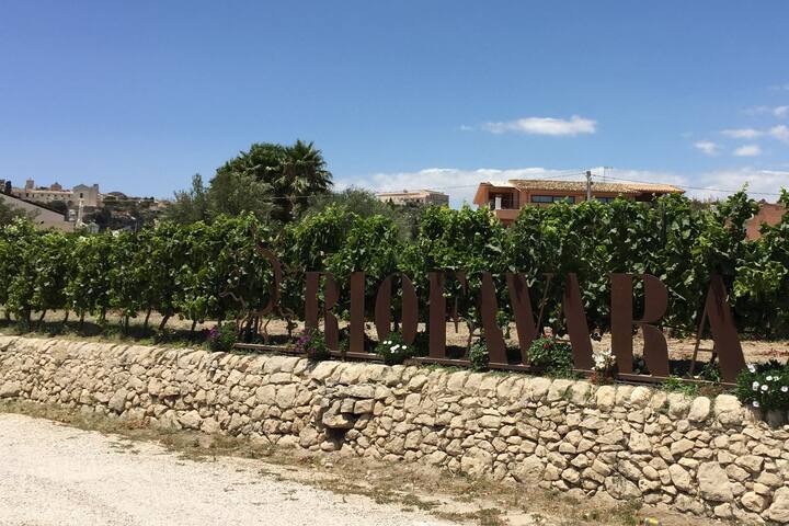 Winery In Val Di Noto - Suite Cantina - Pozzallo