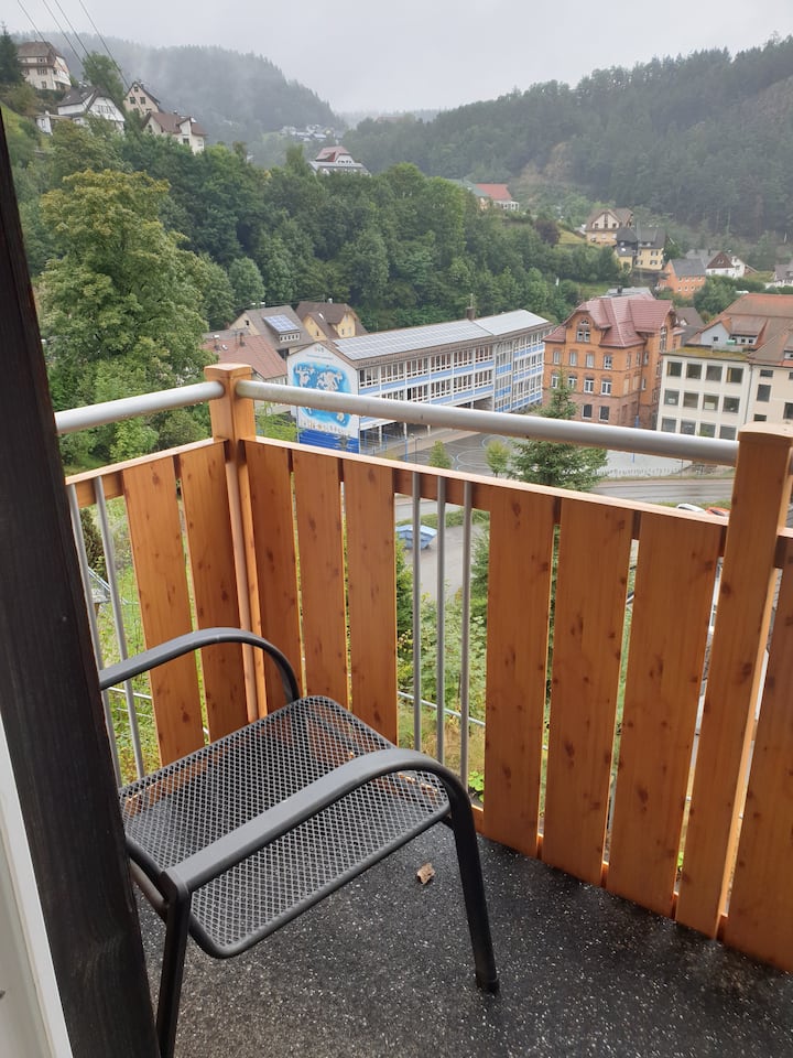 Ruhige Waldradlage - Ferienwohnung Lauterbachblick - Schramberg