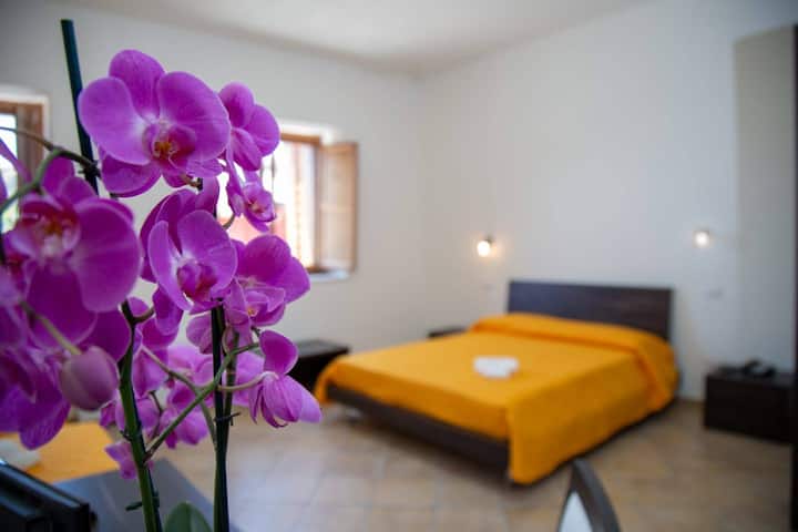Camera Familiare - Bagno Privato - Contursi Terme