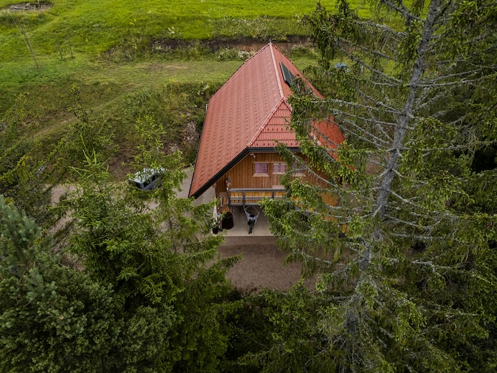 Senik V Kampu Beli Gaber - Eslovenia