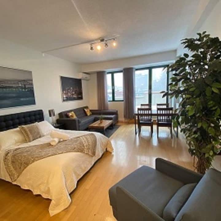 Spacious Loft Downtown 402 - Centre Bell
