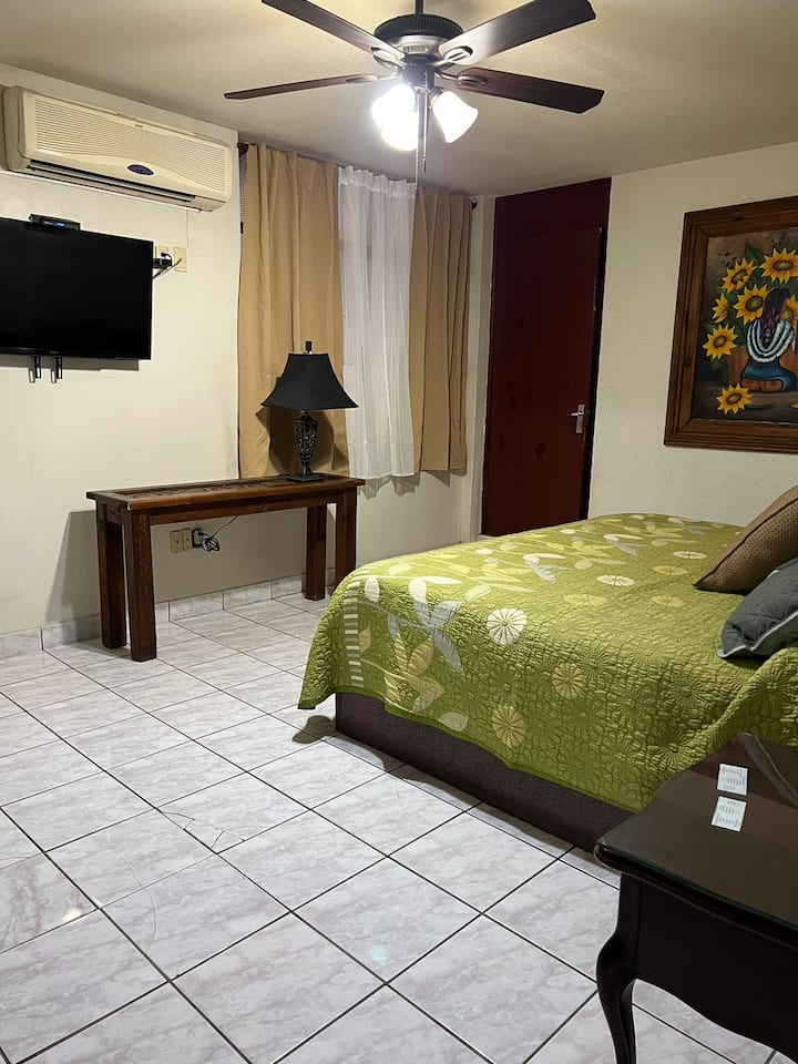 Centrico Departamento - Delicias