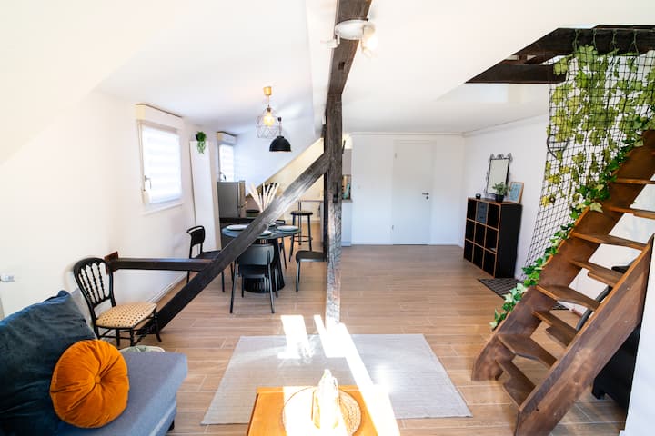 Le Cosy Du Brasseur - Duplex Schiltigheim - Schiltigheim